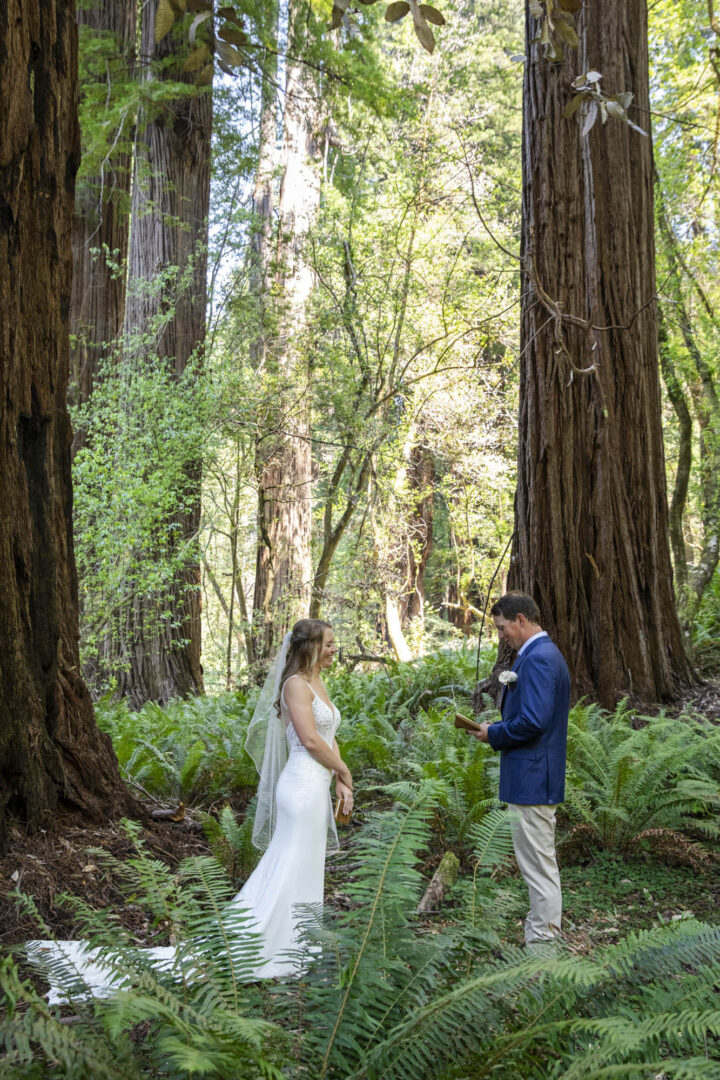 An Enchanting California Redwoods Wedding Story | Scenic Vows