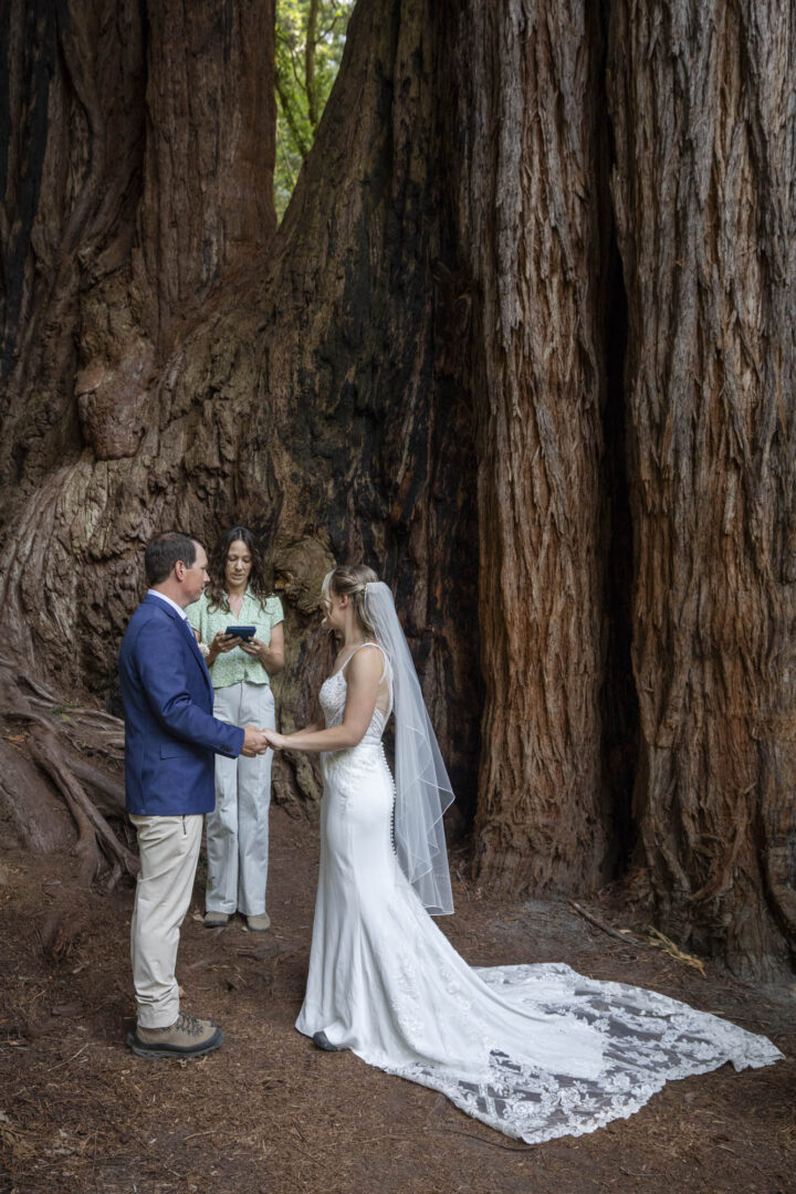 An Enchanting California Redwoods Wedding Story | Scenic Vows