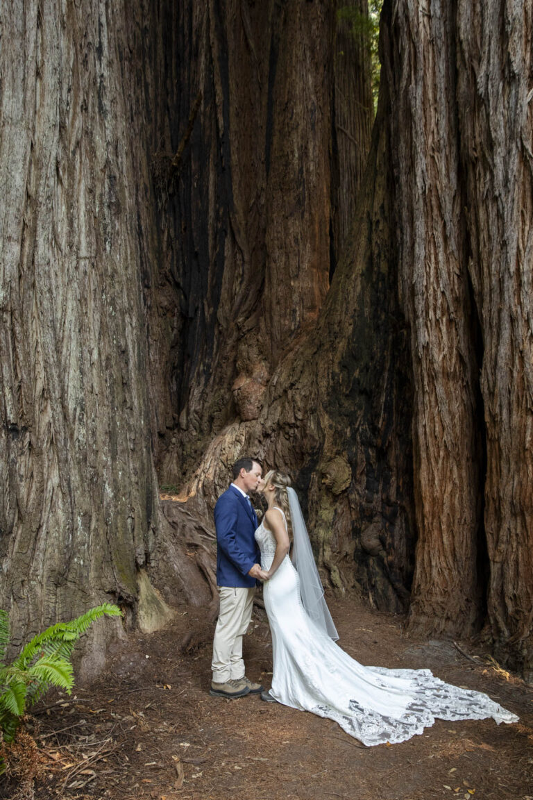 An Enchanting California Redwoods Wedding Story | Scenic Vows
