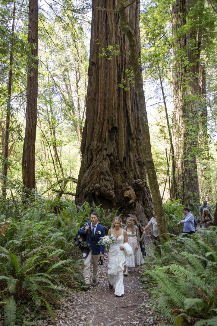 An Enchanting California Redwoods Wedding Story | Scenic Vows