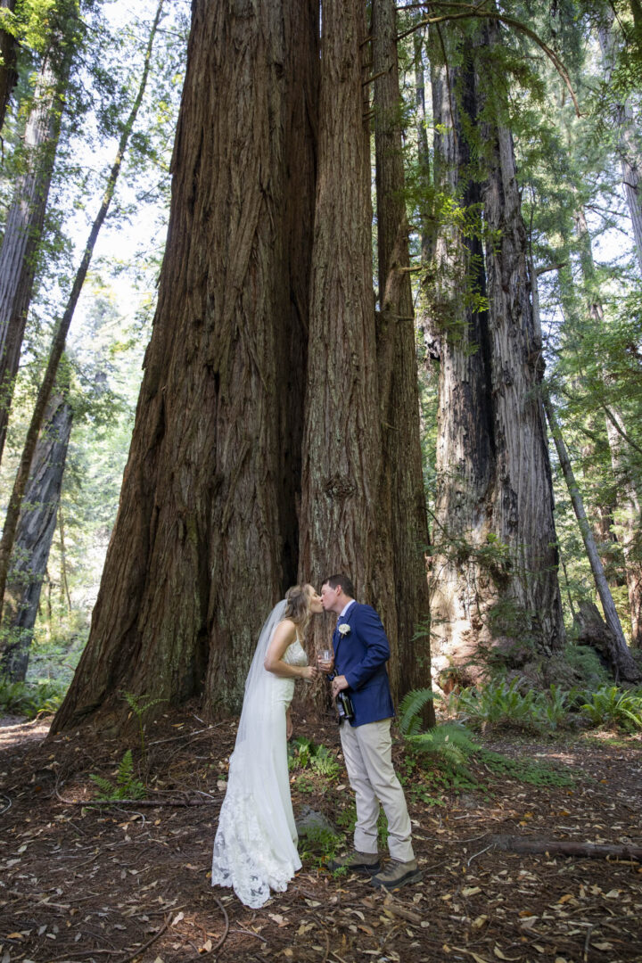 An Enchanting California Redwoods Wedding Story | Scenic Vows