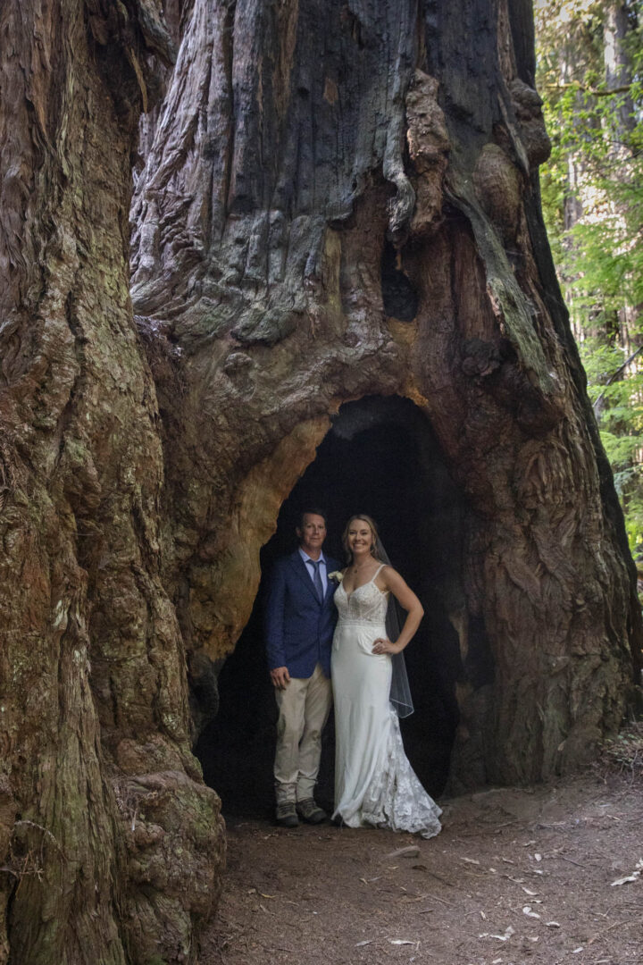 An Enchanting California Redwoods Wedding Story | Scenic Vows