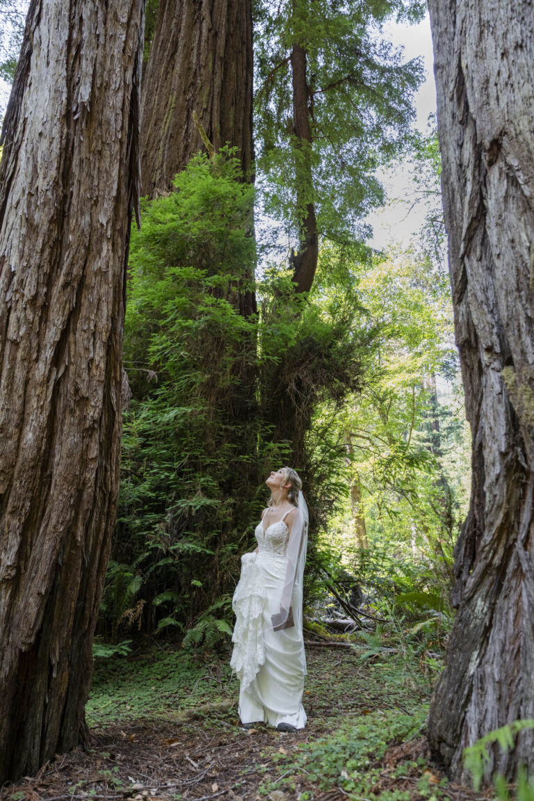 An Enchanting California Redwoods Wedding Story | Scenic Vows