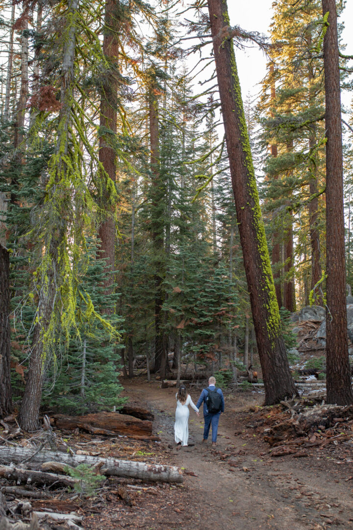 Forest Elopement Guide: Locations, Permits, And Tips